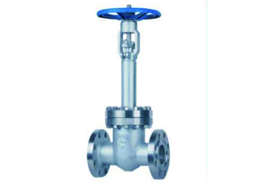 Low-Temperature Gate Valve – Indo Valves Store